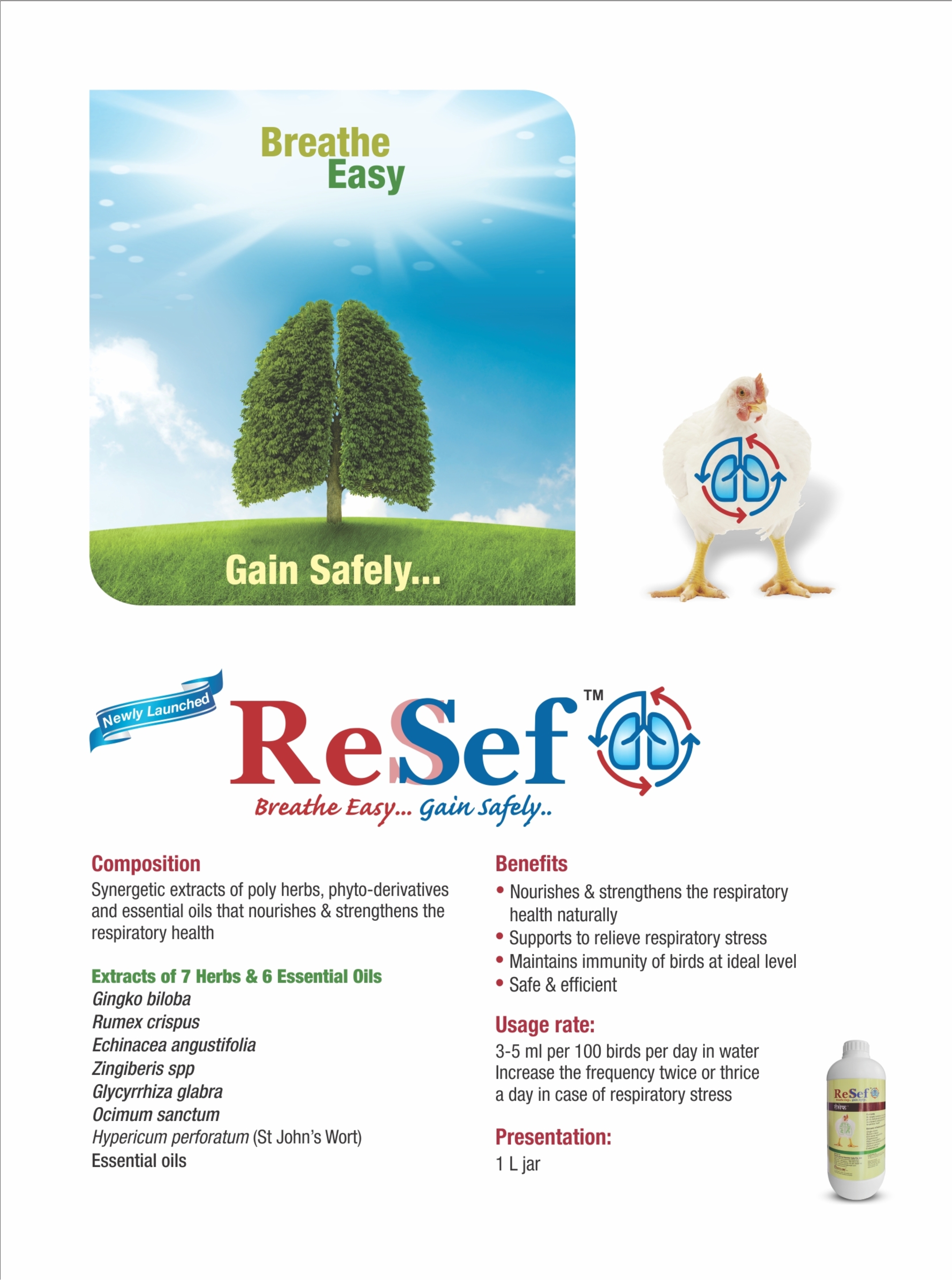 Poultry Animal Health Products | Provimi